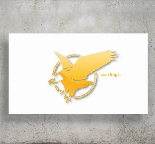 Team Eagle Ltd - News, Articles and Whitepapers - International Airport Review