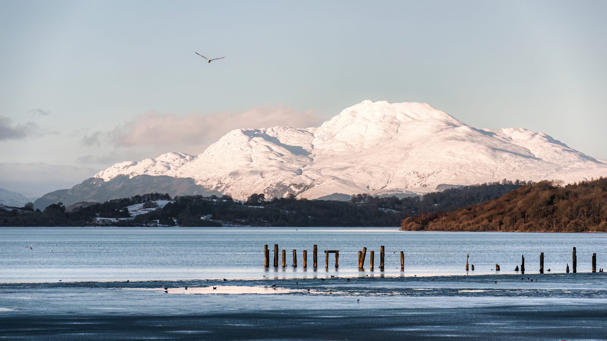 Airside Operations - News, Articles and Whitepapers - International ...